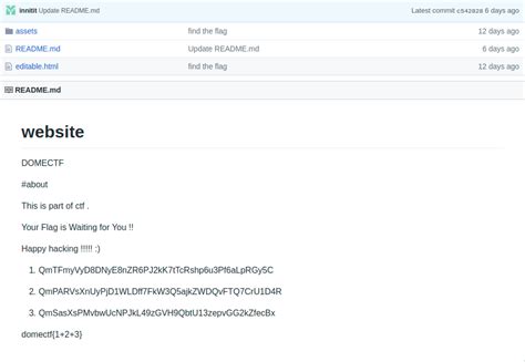 C C N XI CTF Write Up The Informer