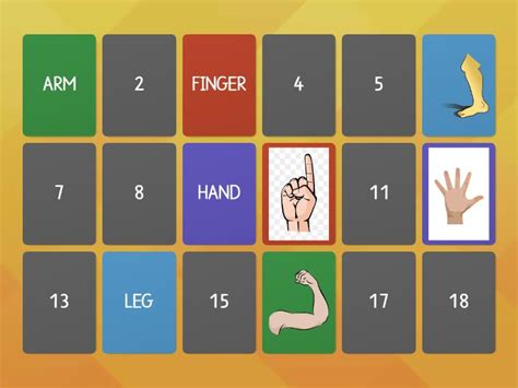 Memory Game Parts Of The Body Matching Pairs