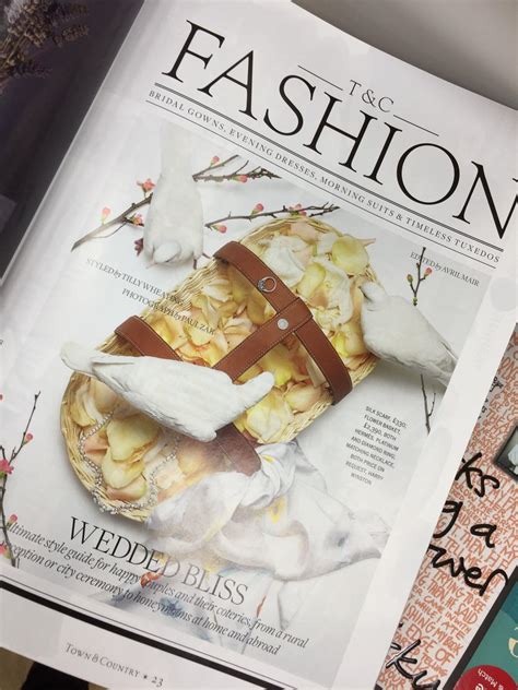 Our Java Doves Featured Dove Release By True Dove Ways