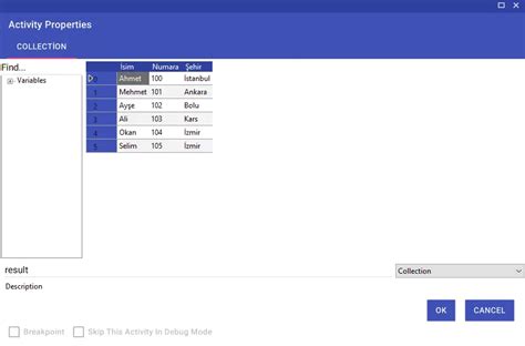 Variable Global Bilgi RPA