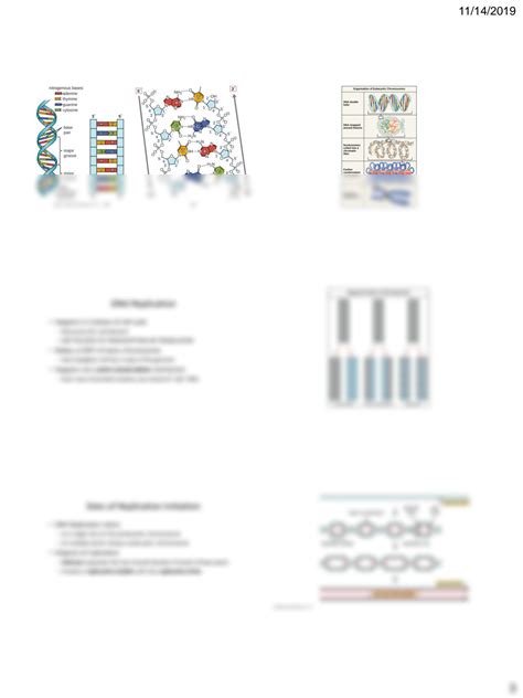 SOLUTION Biol Dna Structure And Function Chapter Notes Studypool