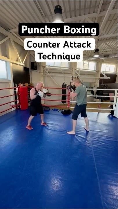 ⁉️how To Counter Punch Boxing Knock Out Technique Boxing Mma