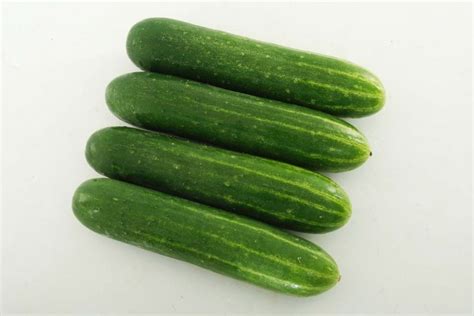 Cucumber Pretty Swallow Known You Seed America