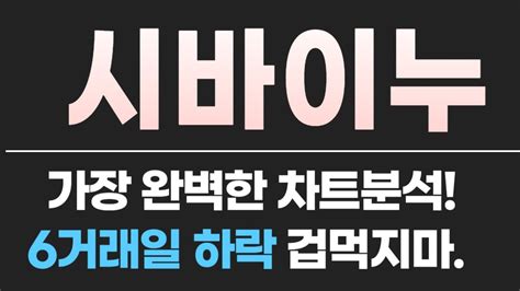 시바이누 코인 가장 완벽한 차트분석6거래일 하락 겁먹지마 Youtube