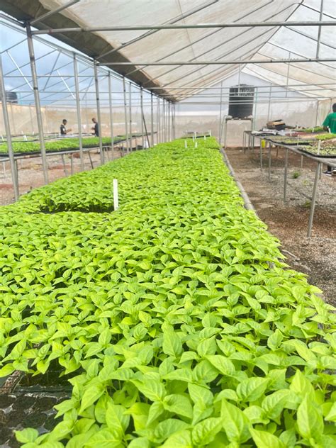 Oluwatobi Adefolaji Posted On Linkedin