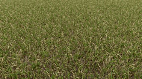 Pro Grass For Blender Cycles And EEVEE Released Scripts And Themes Blender Artists Community