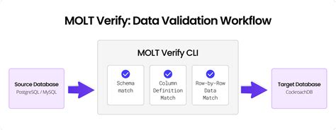 Molt Verify Ensuring Data Integrity In Database Migrations