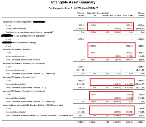 Intangible Asset Summary Report Possible Bug Manager Forum