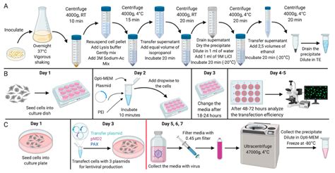 Mps Free Full Text An Efficient Method For Isolation Of Plasmid Dna