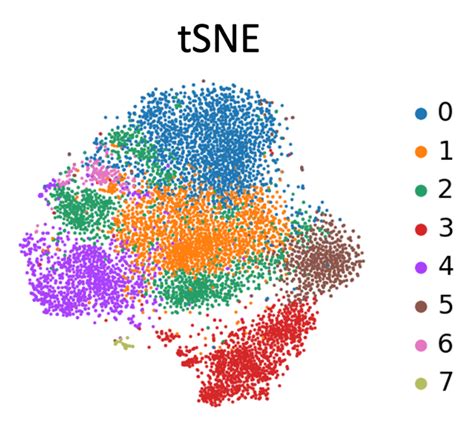 Plot Pca Umap And Tsne — Galaxy Tutorial Single Cell Rna Seq Analysis