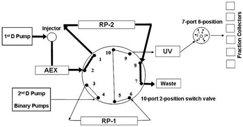 Intact Protein Analysis System For Discovery Of Serum Based Disease Biomarkers Abstract