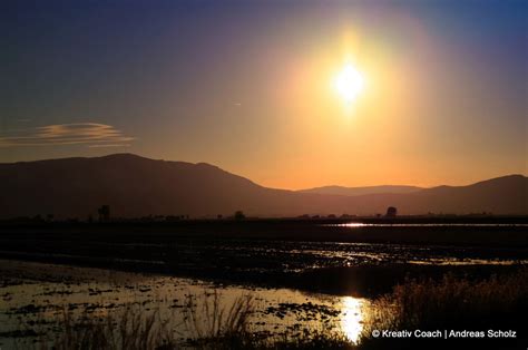 Die Vier Versprechen Coaching Lexikon Scholz