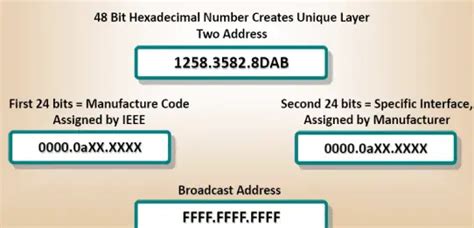 Switch VS Router The Definitive Comparison Guide