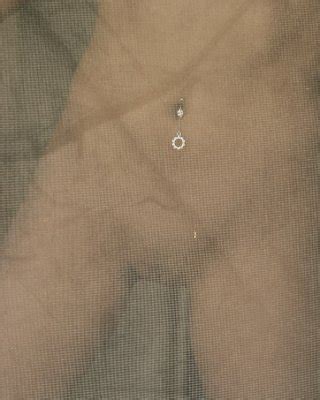 Cute Teen Girl Answers Doorbell Nude Porn Pictures XXX Photos Sex