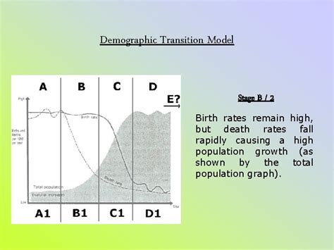 The Demographic Transition Model What Is The Basic