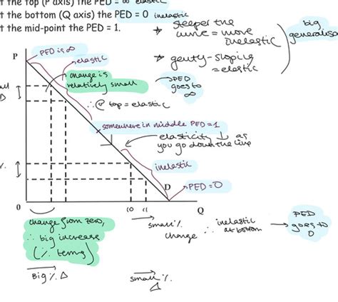 Elasticity Flashcards Quizlet