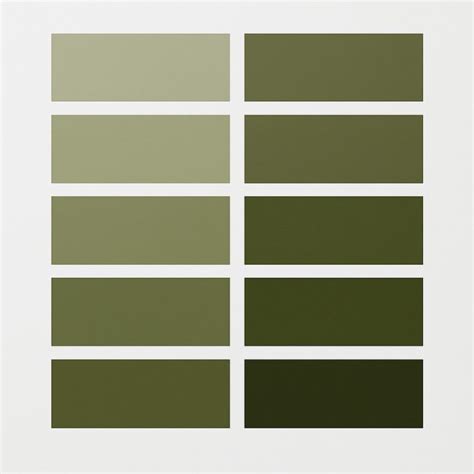 Vert Kaki La Couleur à Adopter Pour Une Déco Dintérieur Apaisante Nuagedeco