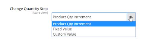 how to add quantity increment and decrement in magento 2 mageplaza