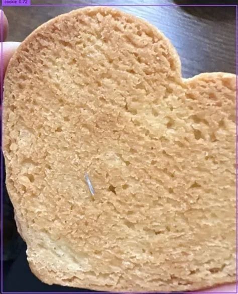 Launch Yolo World Support In Roboflow