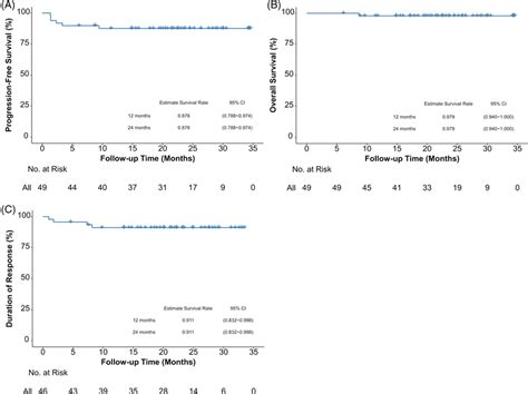 Patient Survival Of The Modified Intent‐to‐treat Set A Download Scientific Diagram