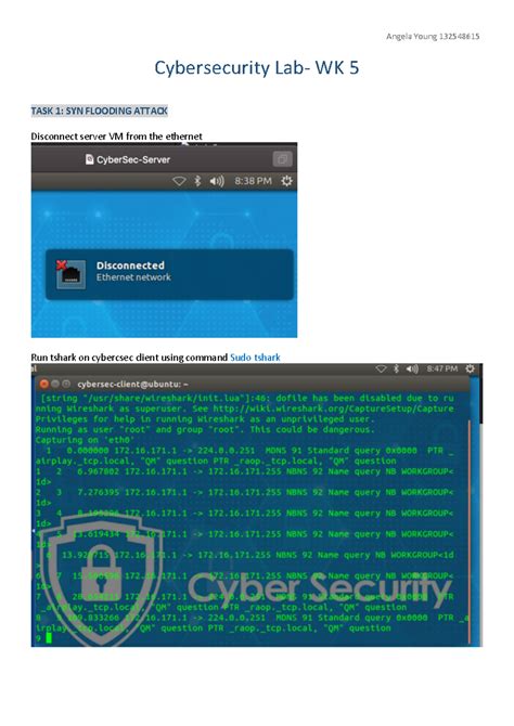lab 5 cybersecurity lab wk 5 task 1 syn flooding attack disconnect