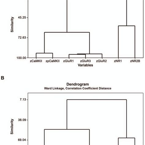 Cluster Analysis Using The Correlation Coefficient Distance And Wards