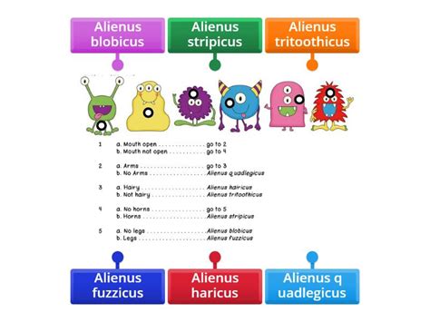 Dichotomous Key Review Game Labelled Diagram
