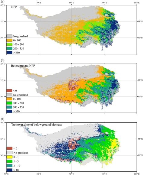 Spatial Patterns Of Net Primary Production Npp Unit G C M⁻² Yr⁻¹ Download Scientific