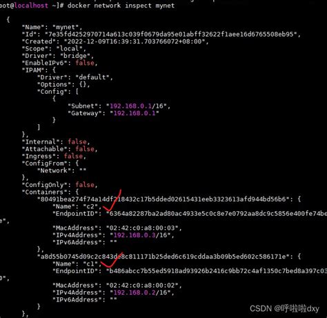 Docker安装nginxdocker安装nginx T Csdn博客