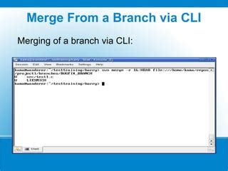 SVN Tool Information Best Practices PPT