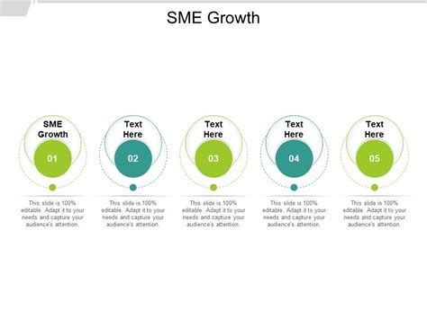 SME Growth Ppt PowerPoint Presentation Slides Elements Cpb