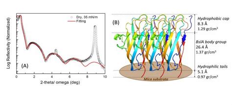 Diffraction Pattern Protein