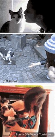 Zero Fucks Given Tag PrimoGIF Zero Fucks Given Tag PrimoGIF