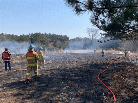 Jibs 전체 뉴스기사