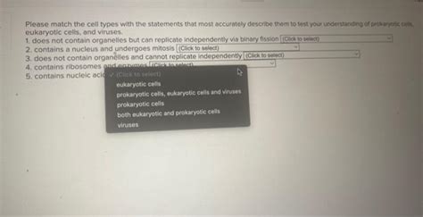 Please Match The Cell Types With The Statements That Chegg Com