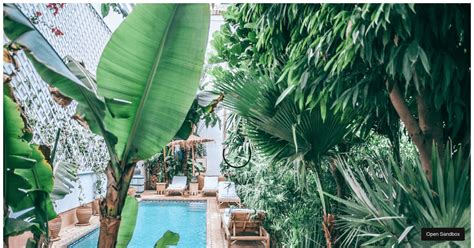 react picture annotation example forked codesandbox