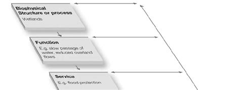 The Design Cascade Diagram Can Be Used To Relate Design Interventions Download Scientific