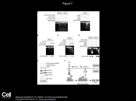 Volume 23 Issue 1 Pages July 2006 Ppt Download