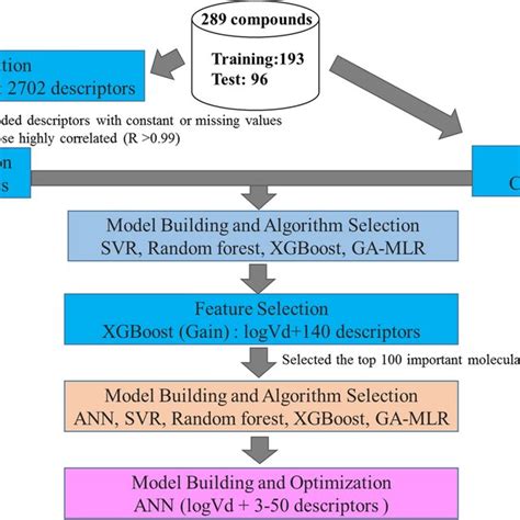 flowchart of the modeling process for rb prediction download