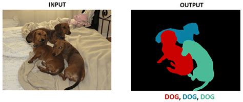 Object Recognition Tasks And Their Differences Baeldung On Computer