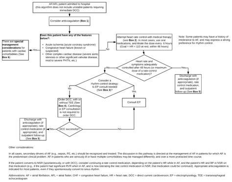 Atrial Fibrillation Treatment