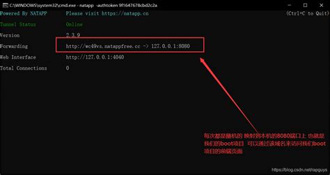支付宝沙箱支付的详细过程 csdn博客