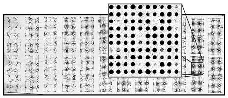 A Typical Microarray Slide Enhanced To Show Gene Spots Download Scientific Diagram