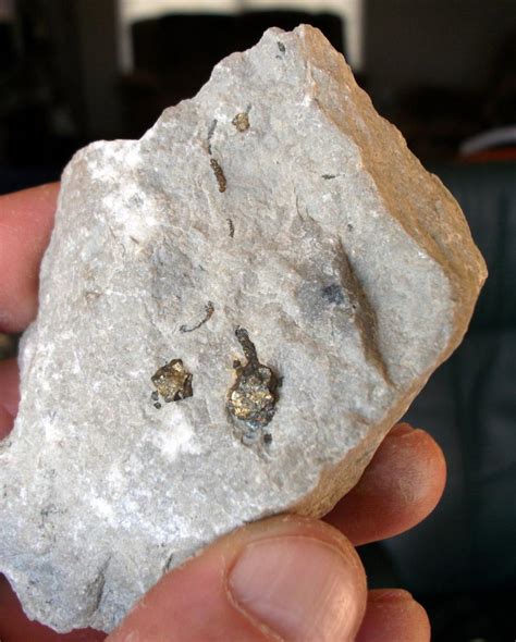 Pyrite The Fossil Forum