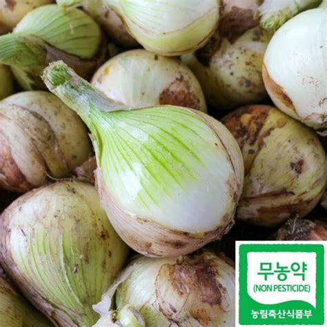 에코한마음 아삭아삭 달달한 친환경 햇양파무선별 2kg5kg