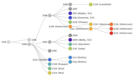 Phylogenetic Relationships Of Existing Sars Cov 2 Clades Clades 19a