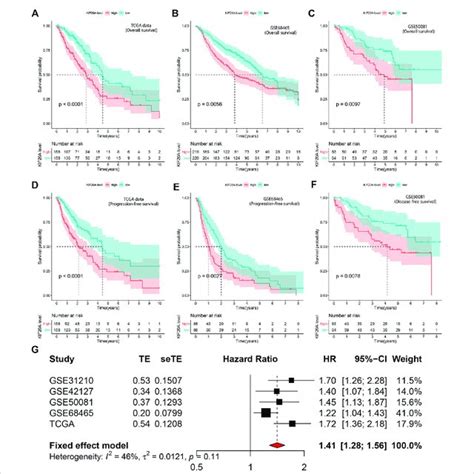 Gene Set Variation Analysis Gsva And Gene Set Enrichment Analysis Download Scientific Diagram