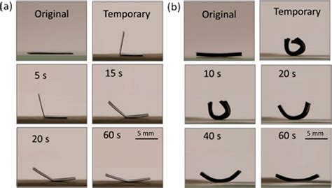 Photographs Showing The Nir Triggered Shape Memory Behavior Of A A