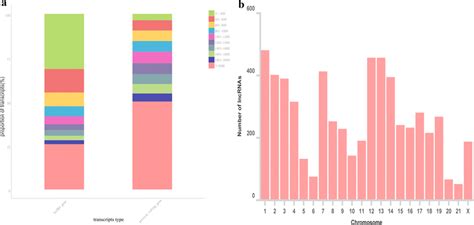 A Exon Size Distribution Of Rabbit Lncrnas And Protein Coding Genes B