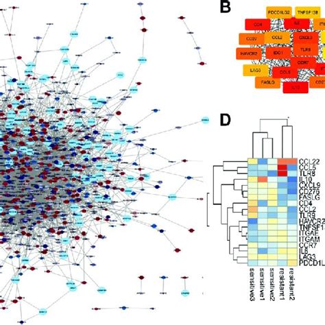 Ppi Analysis Of Degs Based On Cytoscape A Visualized Ppi Analysis Of Download Scientific